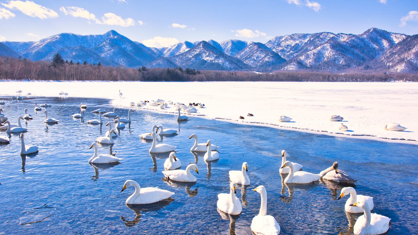 美幌町観光で外せないおすすめスポット13選！モデルコースも紹介 | NEWT（ニュート）